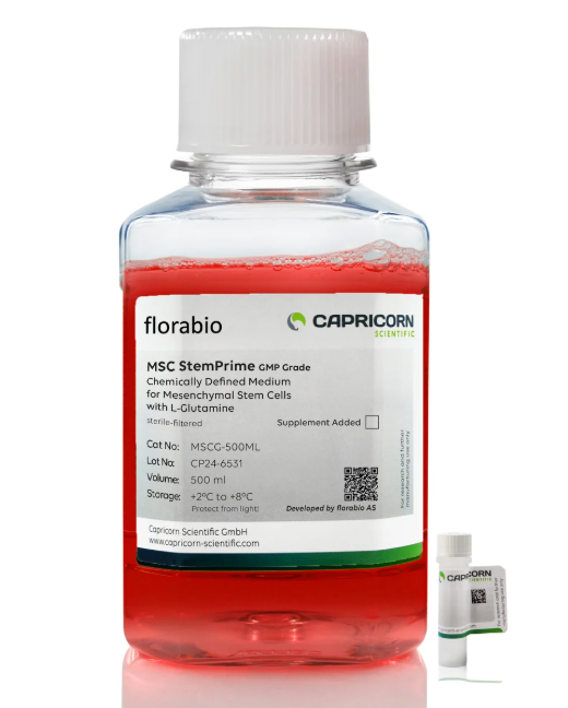 Blogs - Gorea Plus